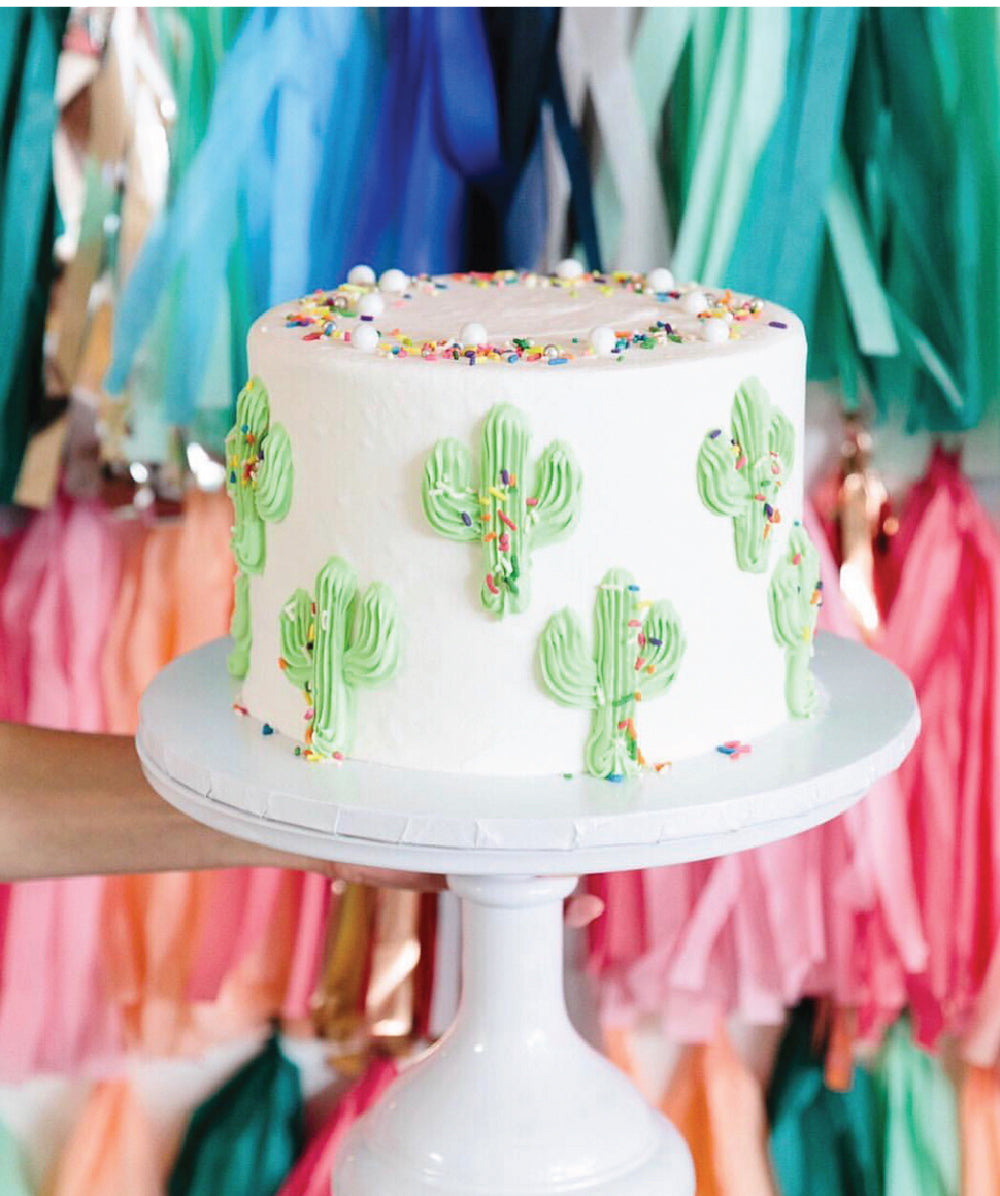 Cactus Sprinkle Cake