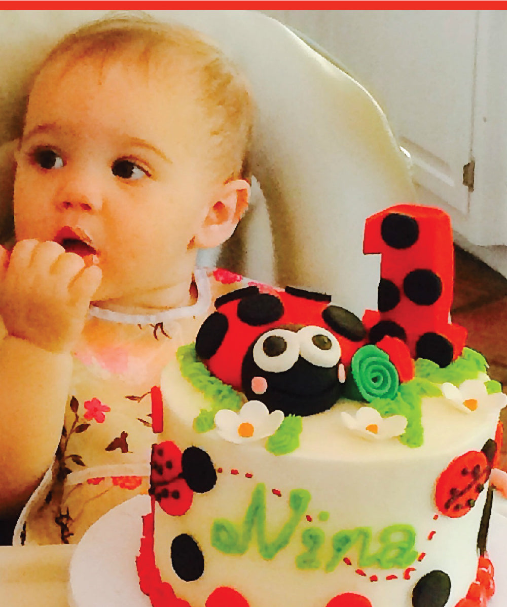Ladybug Birthday Party Cakes Miraculous And Noir Cake Topper,