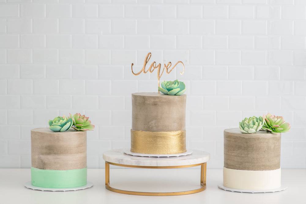 Succulent Concrete Cakes 1